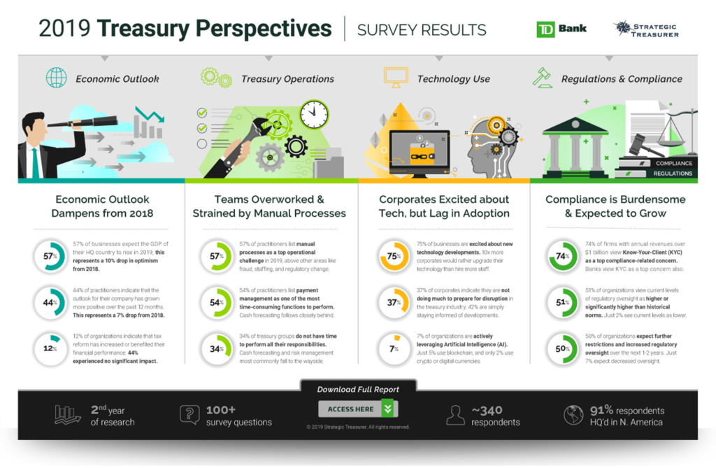 2019 Treasury Perspectives Survey - Strategic Treasurer