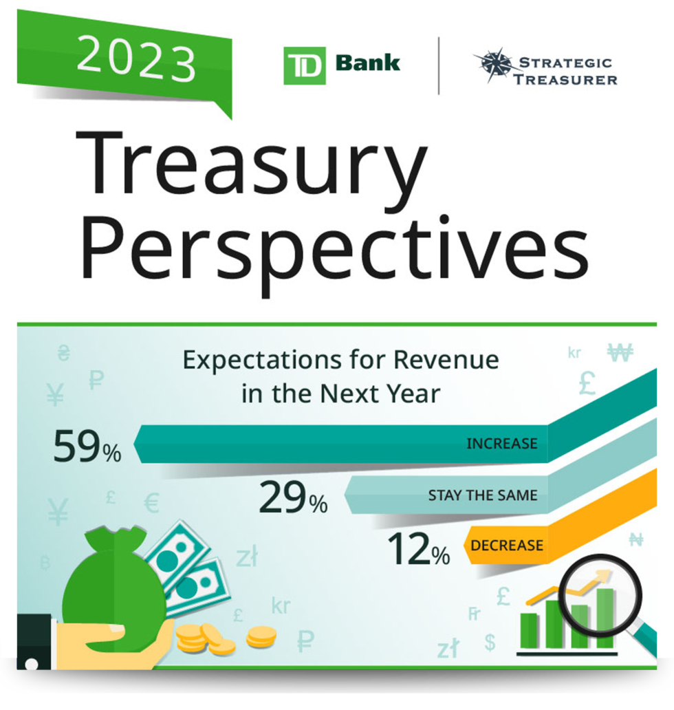 2023 Treasury Perspectives Survey - Strategic Treasurer
