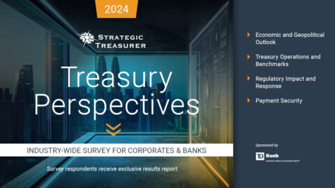2024 Treasury Perspectives Survey Strategic Treasurer