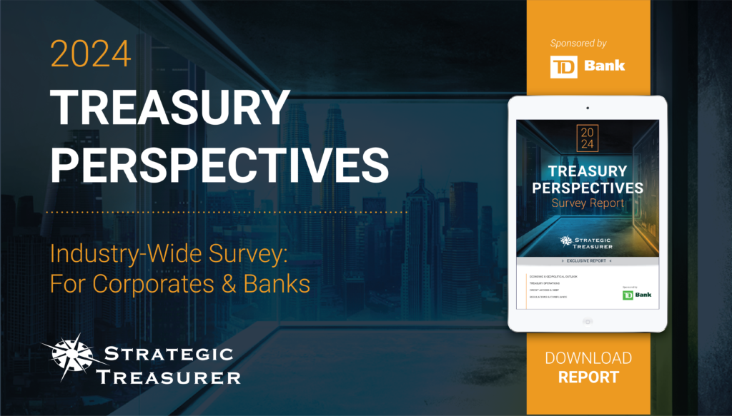 2024 Treasury Perspectives Survey - Strategic Treasurer