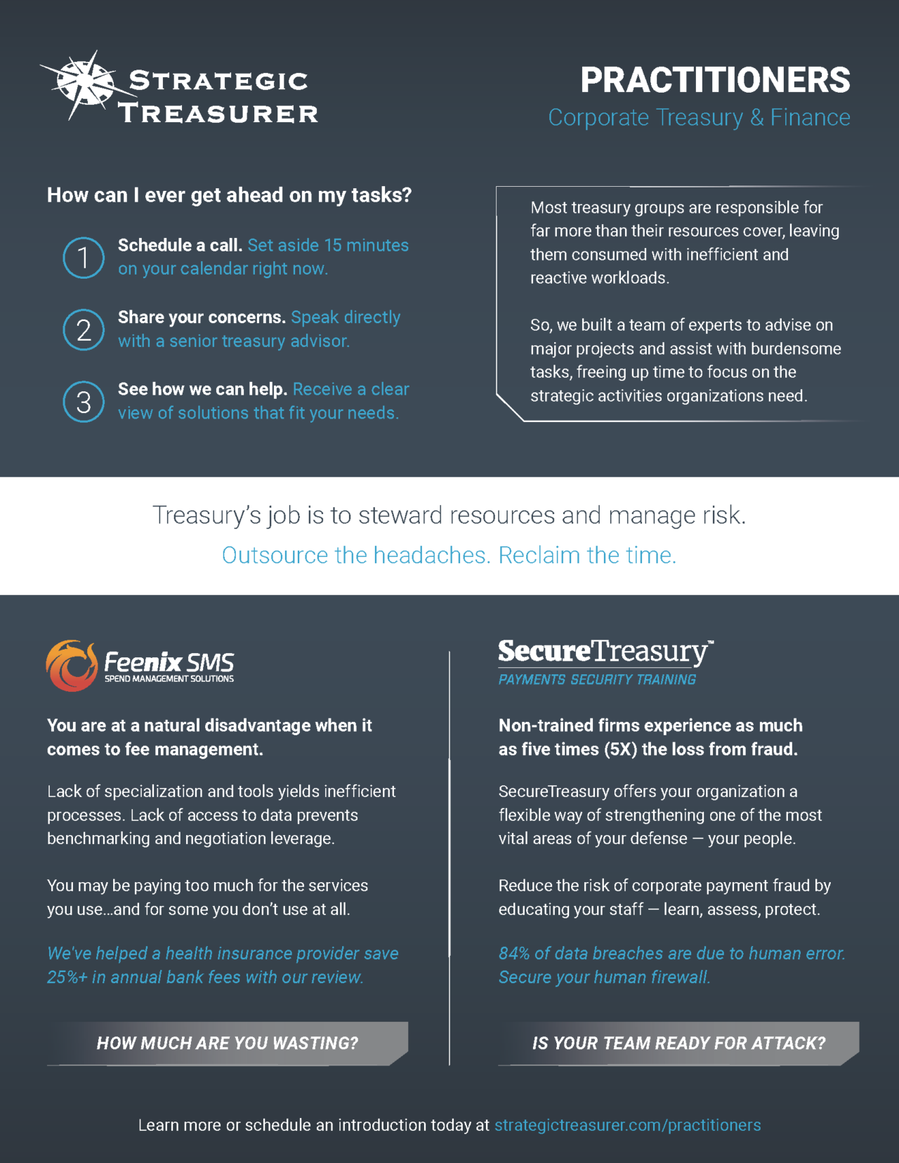 Practitioners | Corporate Treasury & Finance - Strategic Treasurer