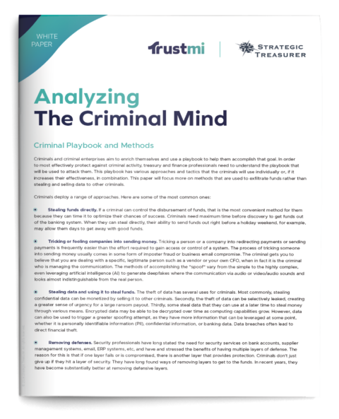 Analyzing the Criminal Mind - White Paper